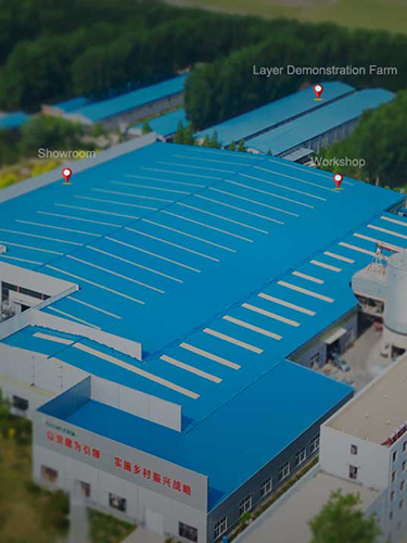 Retech China Chicken Cage Automatic Design Manufacturer Supplier Factory