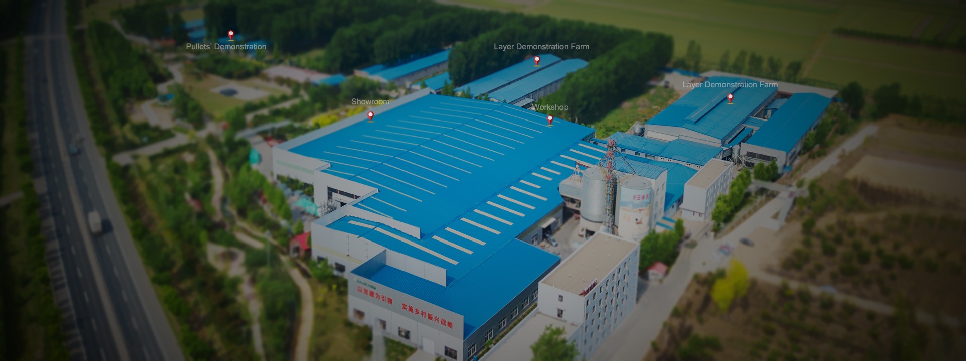 Retech China Chicken Cage Automatic Design Manufacturer Supplier Factory