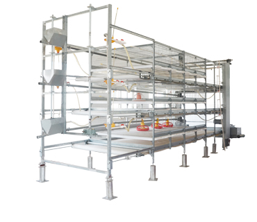 Retech China Chicken Cage Automatic Design Manufacturer Supplier Factory