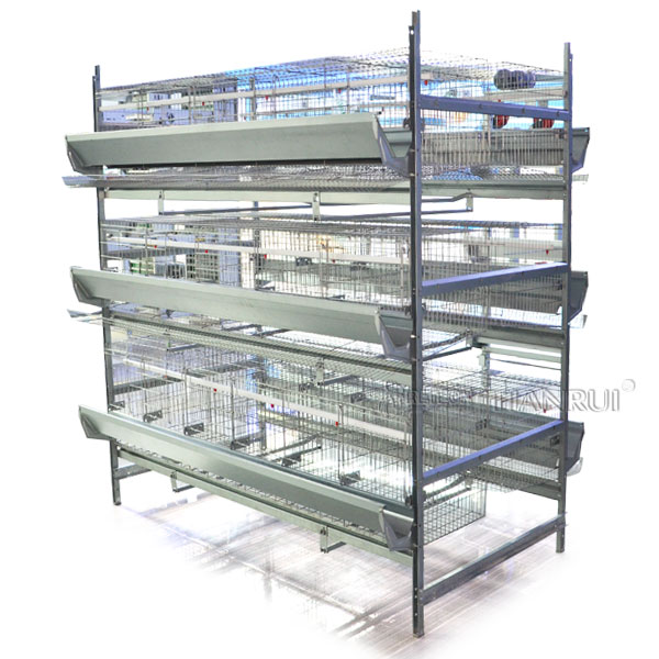 Breeder Chicken Cages Manufacturer Tianrui Supplier China Factory