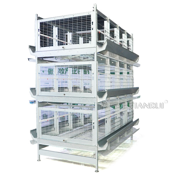 Breeder Chicken Cages Manufacturer Tianrui Supplier China Factory