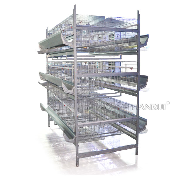 Breeder Chicken Cages Manufacturer Tianrui Supplier China Factory